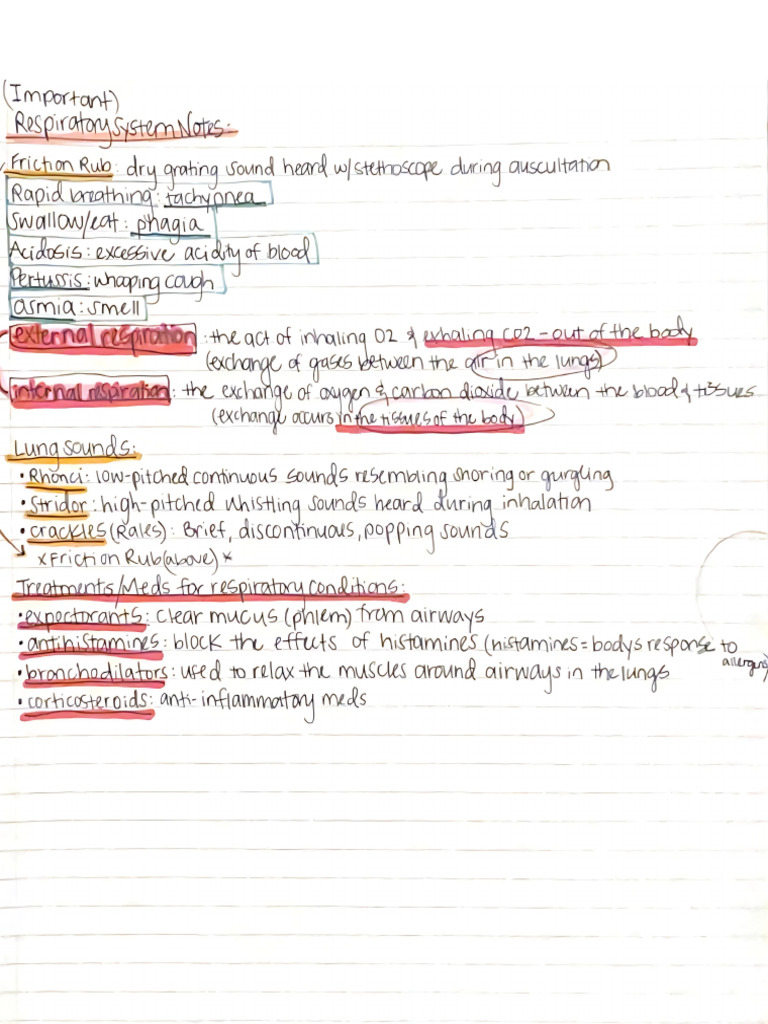 Respiratory Notes | PDF