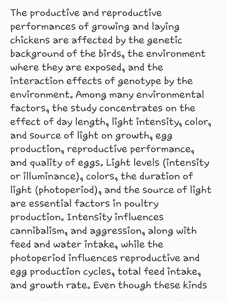 Effects of Light On Egg Production | PDF