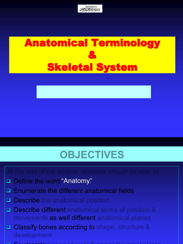 1 - Anatomical Terminology & Skeletal System | PDF | Anatomical Terms ...