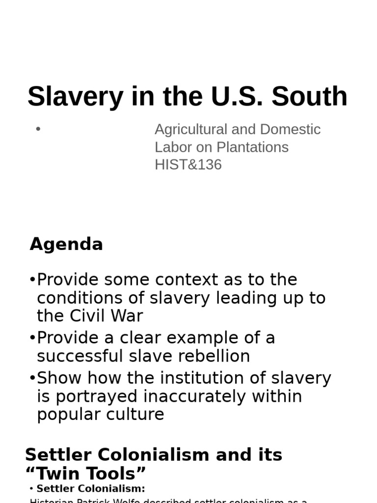 Understanding Slavery in the U.S. South | PDF | Slavery In The United ...