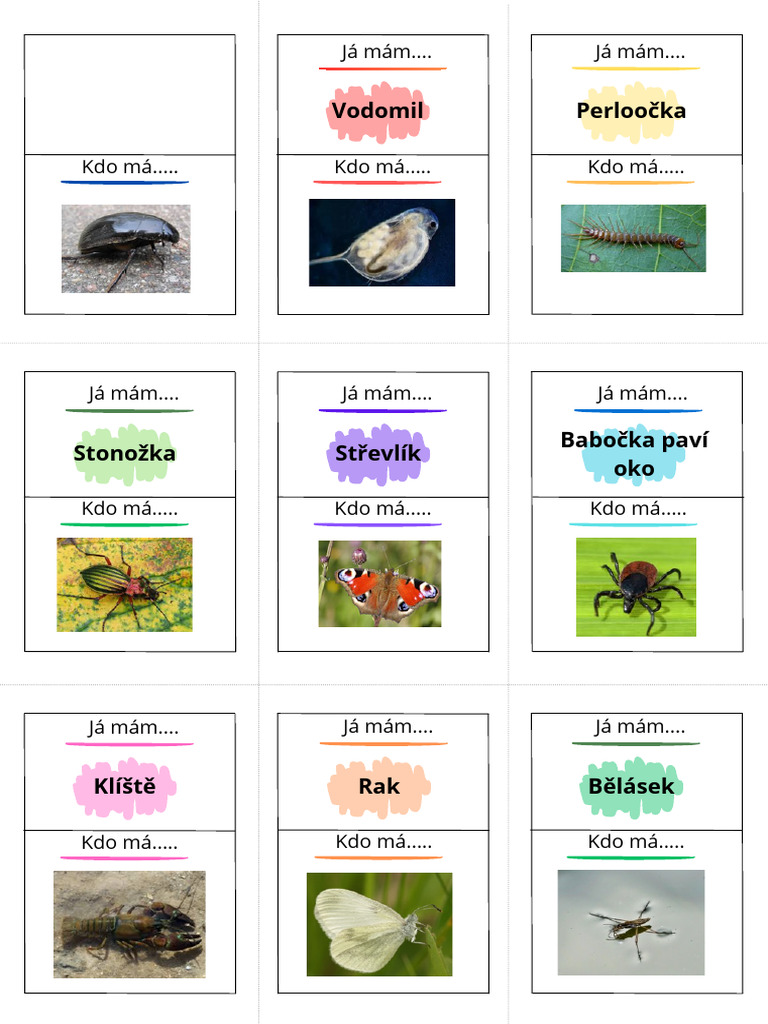 Já Mám... Kdo Má... Členovci | PDF