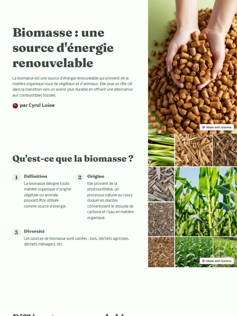 Biomasse Une Source Denergie Renouvelable | PDF | Biomasse (énergie ...