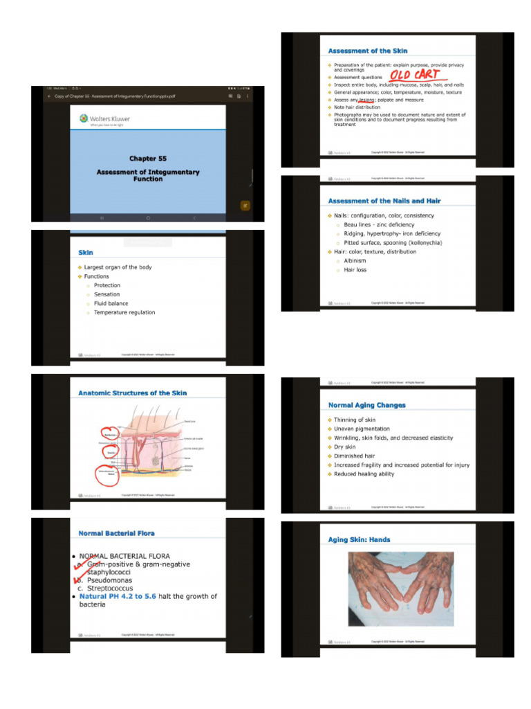 Chapter 55 (Assessment of Integumentary Function) | PDF
