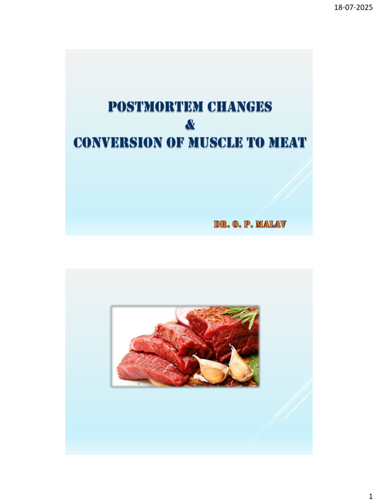 Muscle to Meat Conversion Process | PDF | Glycolysis | Skeletal Muscle