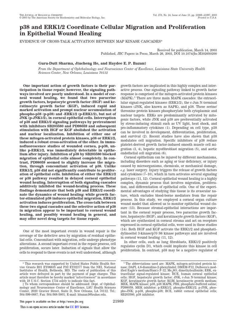 p38 and ERK1 - 2 Coordinate Cellular Migration and Proliferation in ...