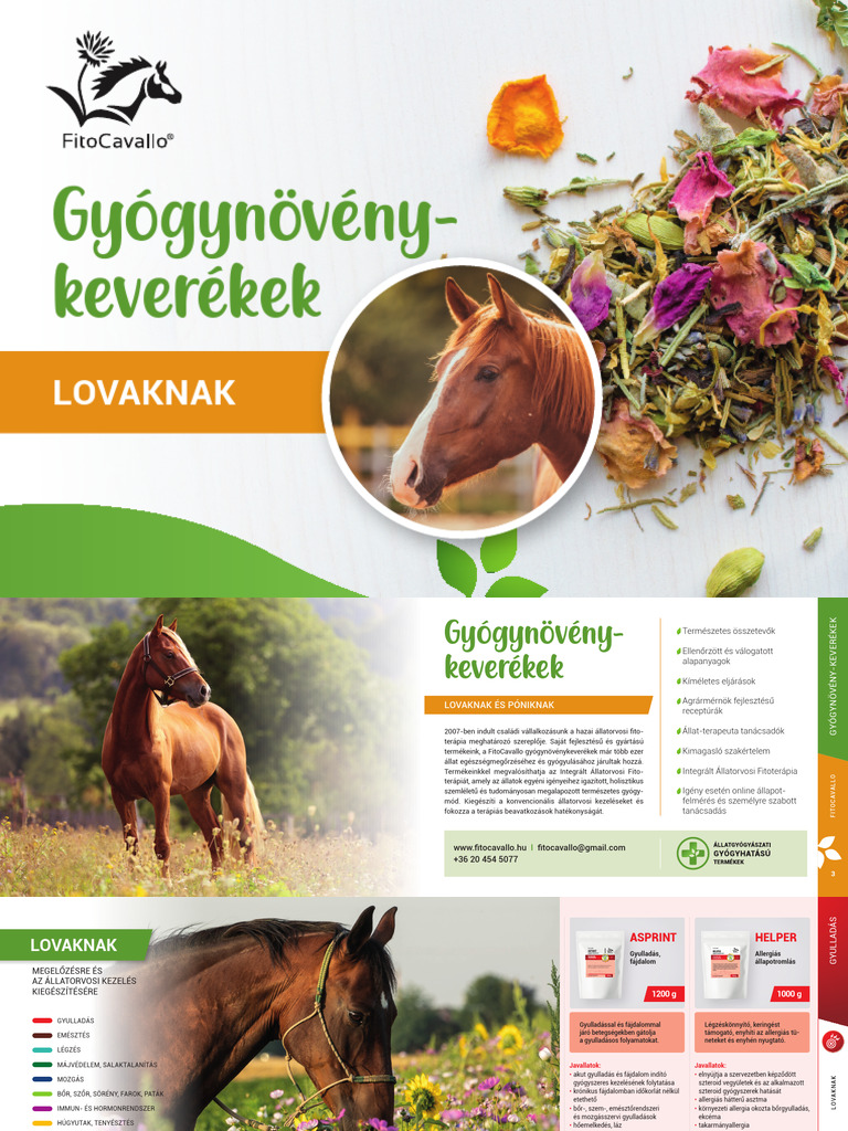 Fitocavallo Lovas Katalogus.2024 | PDF