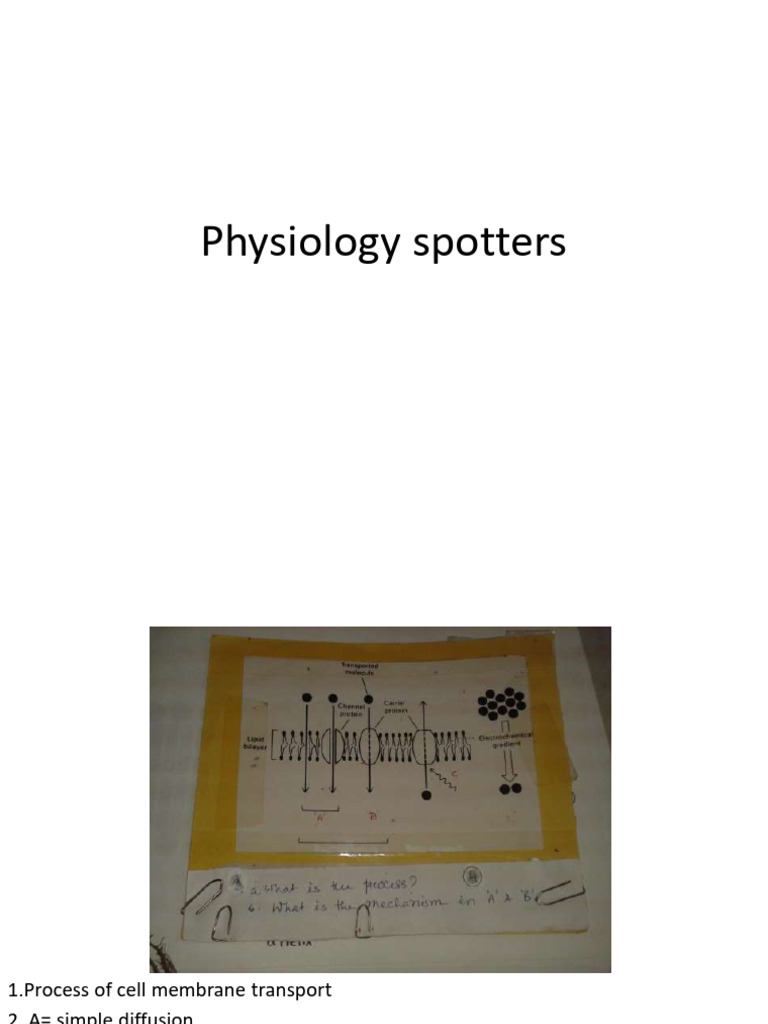 Physio Practical Pdf