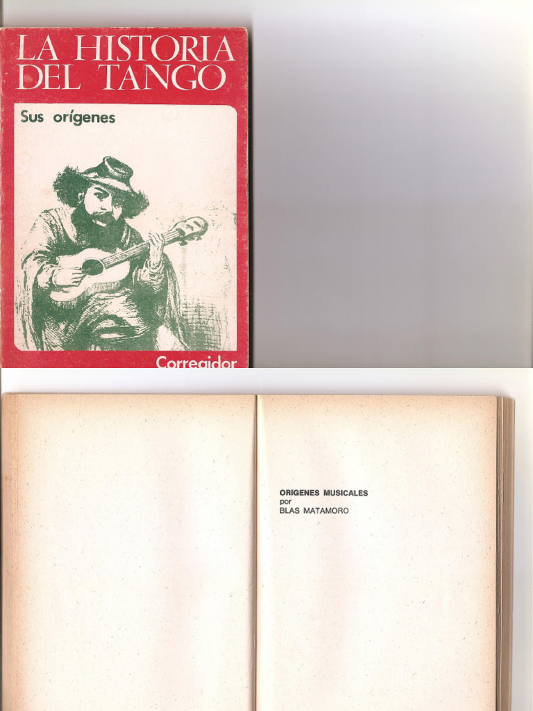 MATAMORO Orígenes Musicales | PDF