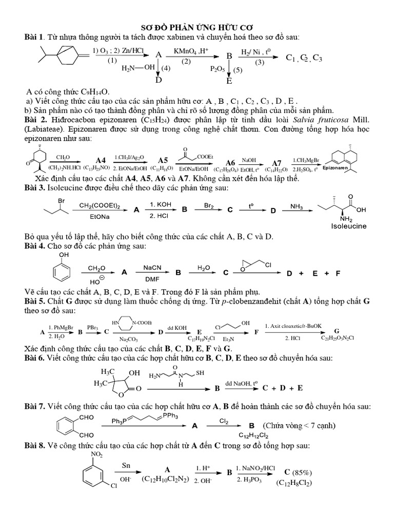 S D PHN NG Hu C | PDF