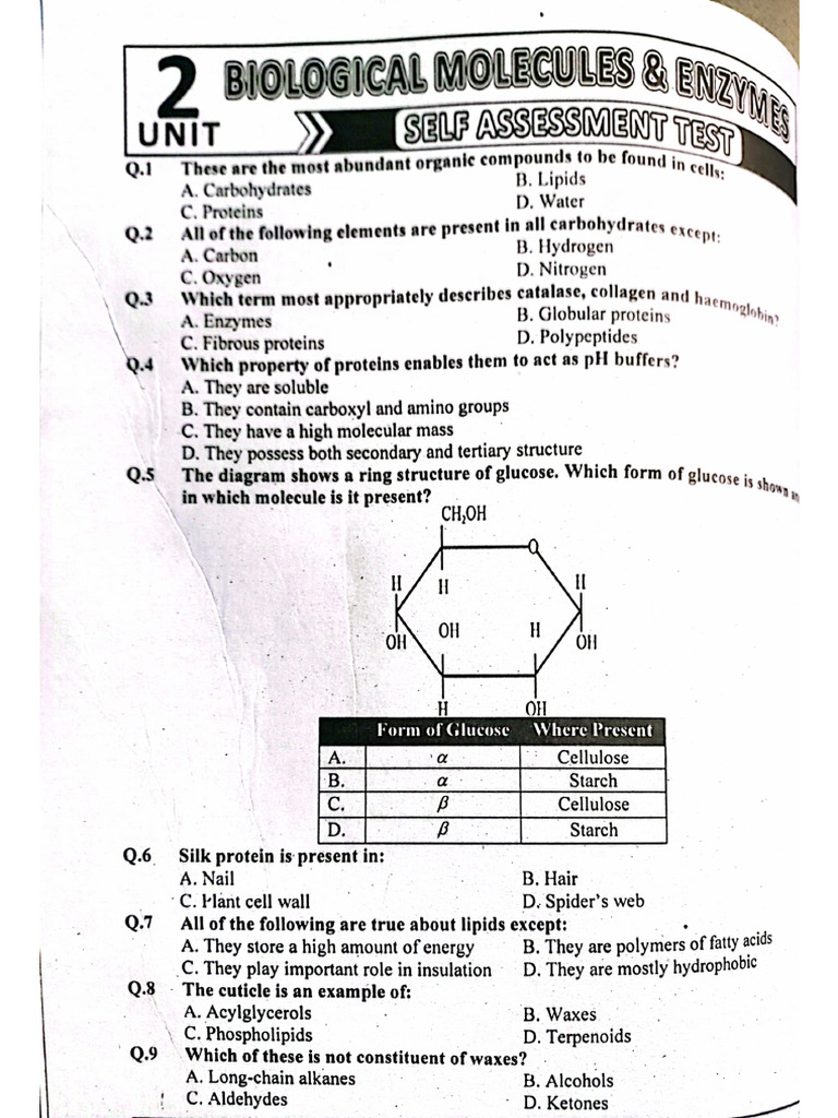 Biological Molecules and Enzyme Practice Sheet | PDF
