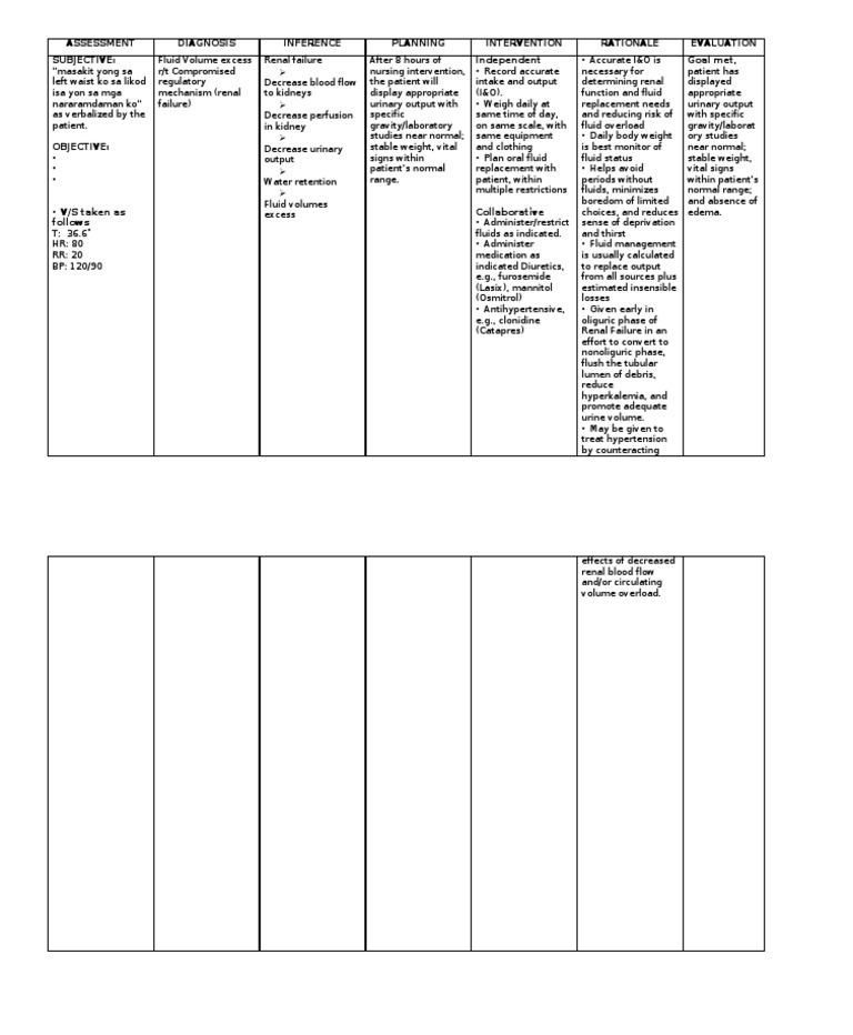 A Renal Failure (NCP) | PDF