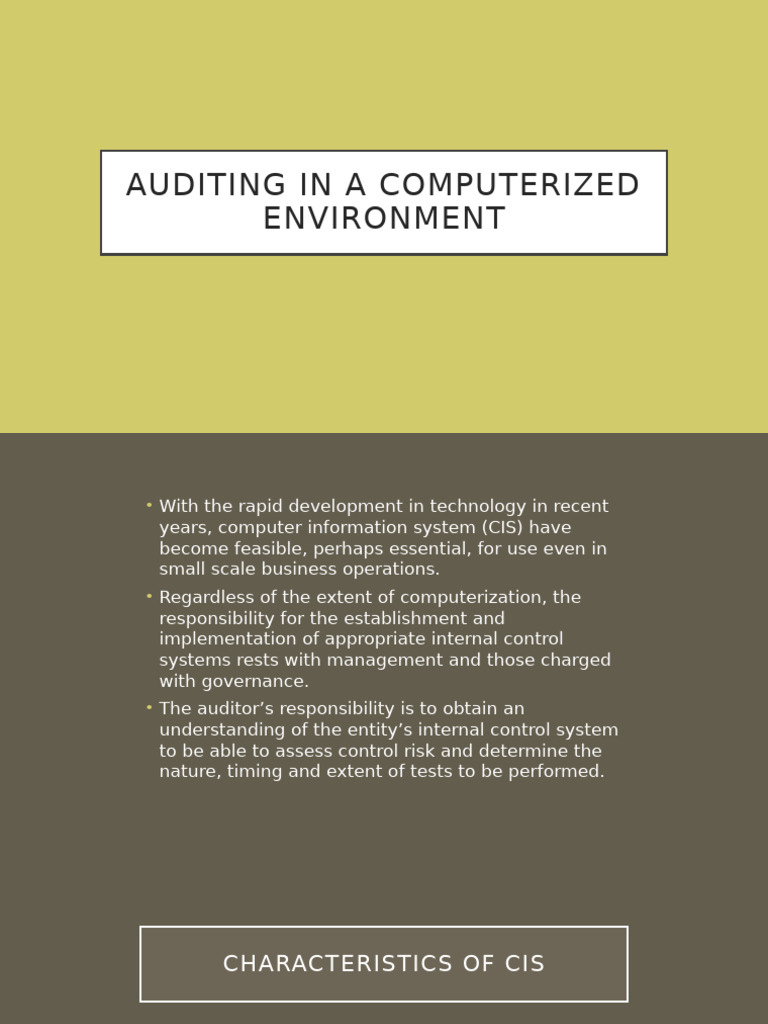 Auditing in A Computerized Environment | PDF | Internal Control | Information Technology Management