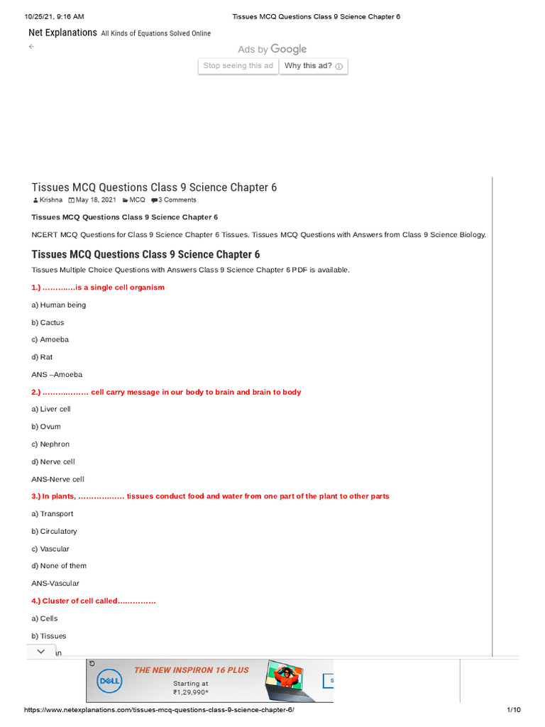 Tissues MCQ Questions Class 9 Science Chapter 6 | PDF | Tissue (Biology ...