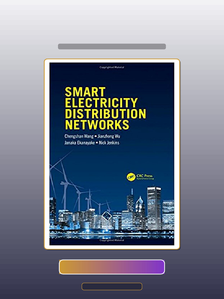 Smart Electricity Distribution Networks 1st Wang | PDF