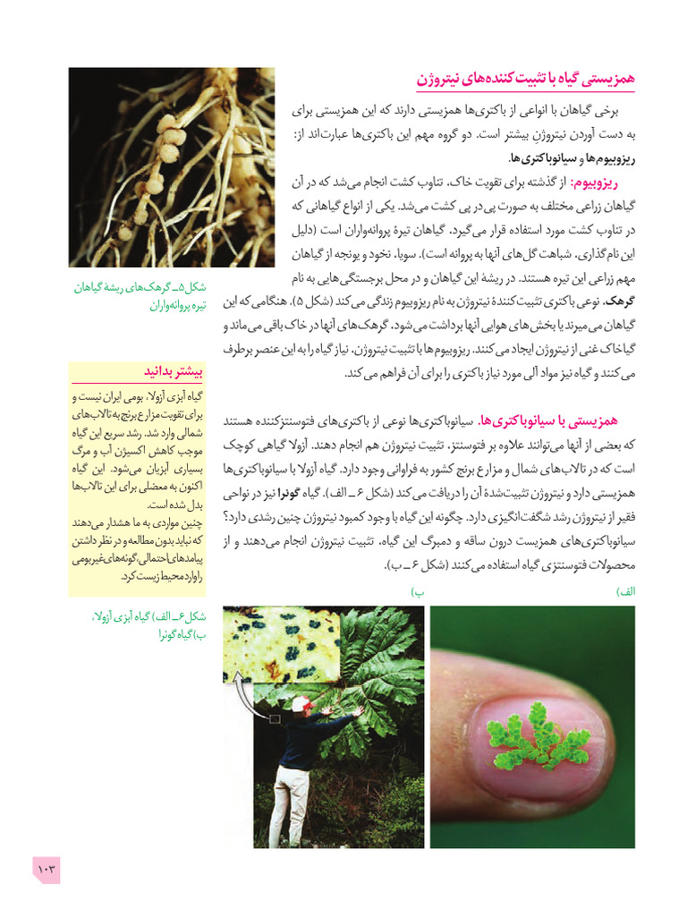 1217922262zist Shenase - Dahom - Tajrobe - Session7-3 | PDF