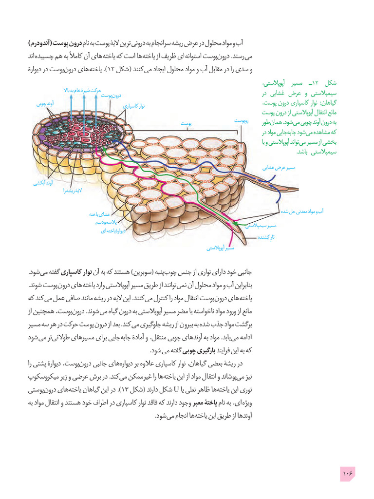 1217922262zist Shenase - Dahom - Tajrobe - Session7-4 | PDF