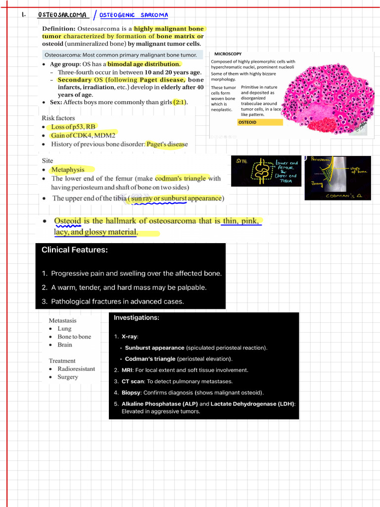 Bone | PDF