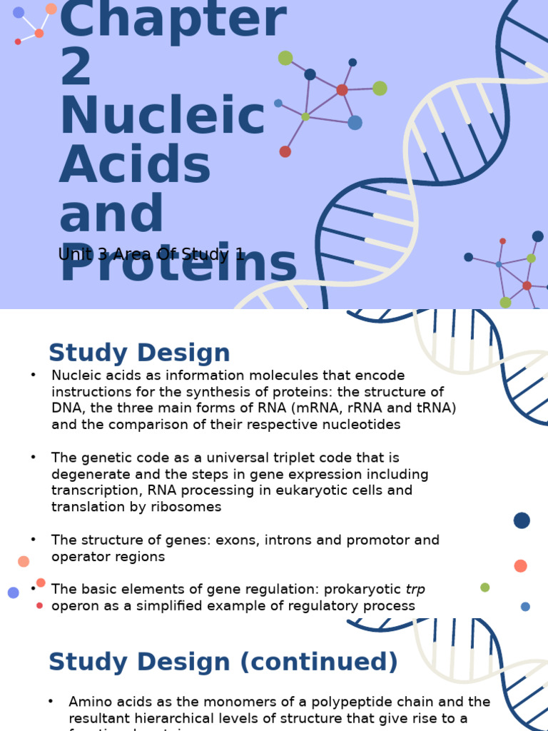 Chapter 2 Nucleic Acids and Proteins 2025 | PDF | Translation (Biology) | Rna