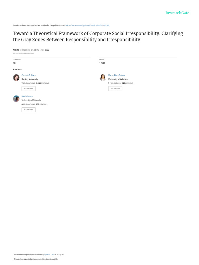 CSR Gray Zone | PDF | Corporate Social Responsibility | Business