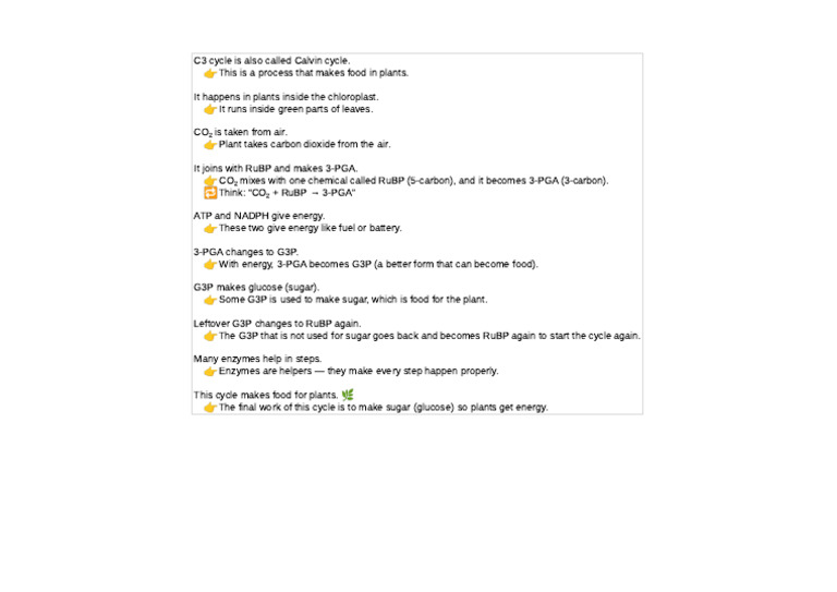Understanding the C3 Calvin Cycle in Plants | PDF