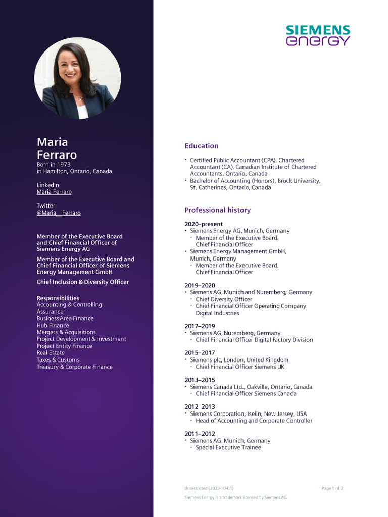 CV Maria Ferraro TAB en PDF Original File | PDF