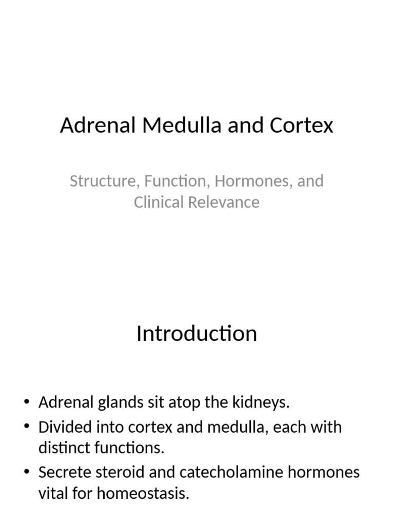 Adrenal Medulla and Cortex | PDF | Adrenal Gland | Cortisol
