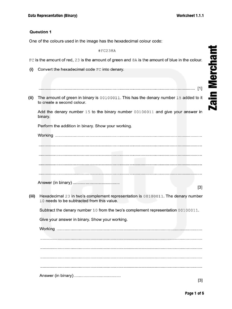 Binary Data Representation Worksheet | PDF