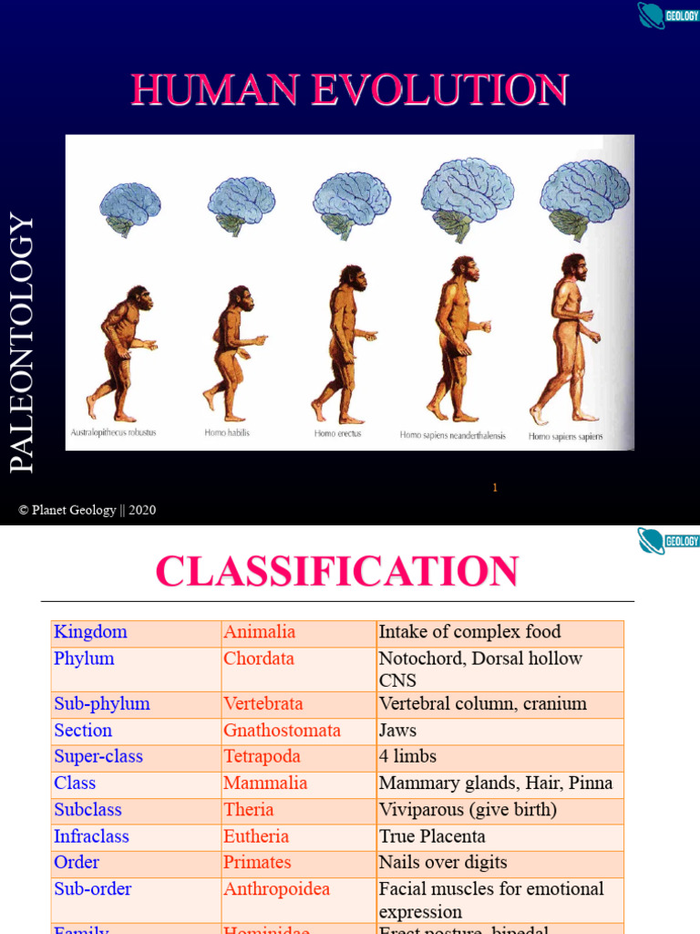 HumanEvolution 201214 023641 | PDF | Homo | Human Evolution
