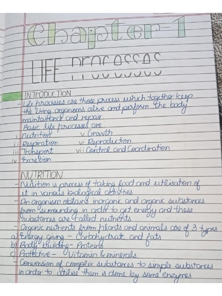Class 10 Biology | PDF