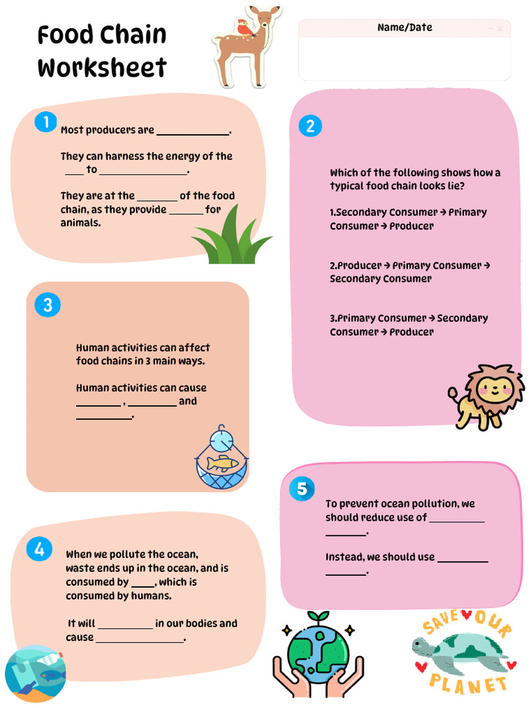 Food Chain Worksheet | PDF