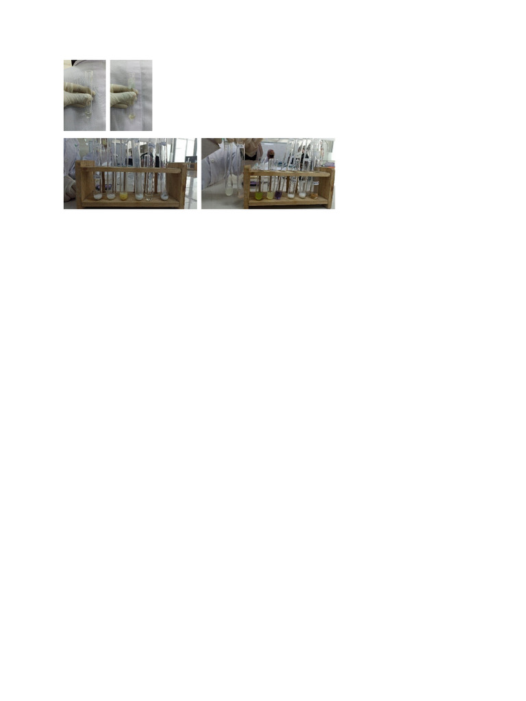 Biokim Protein | PDF