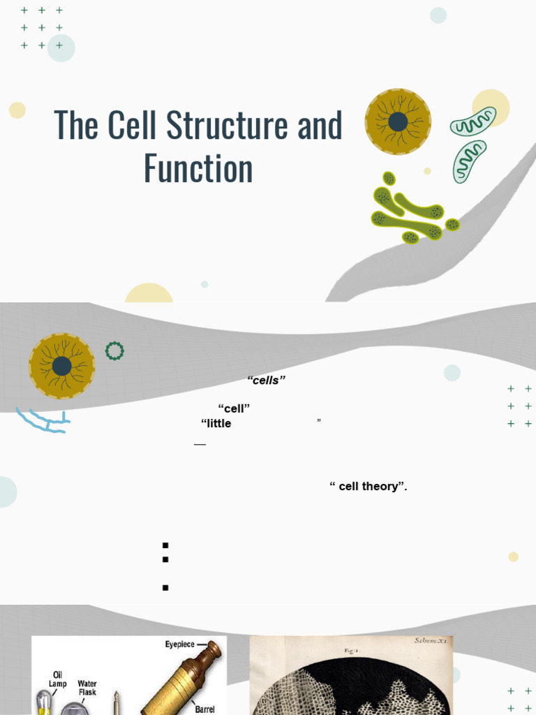 Cell Structure and Function | PDF | Cell (Biology) | Cell Membrane