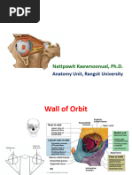 Mnemonic For Eye | PDF