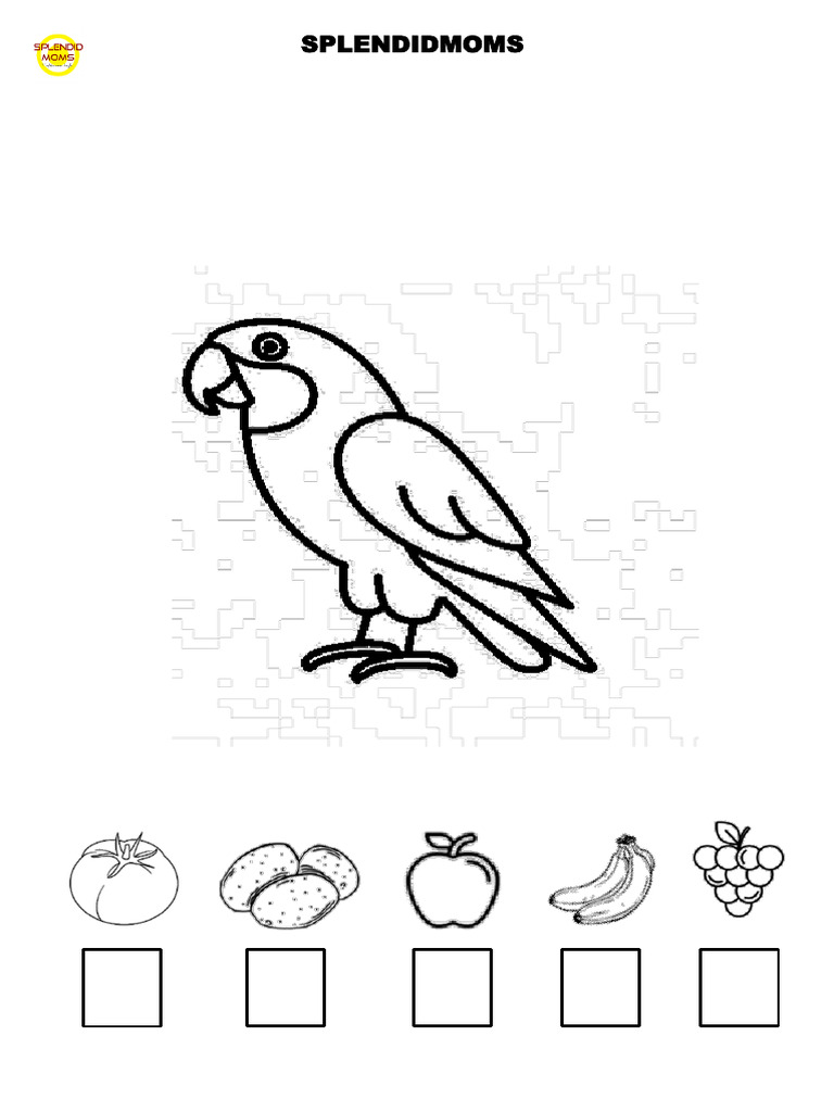 LKG Evs Annual Question Paper | PDF