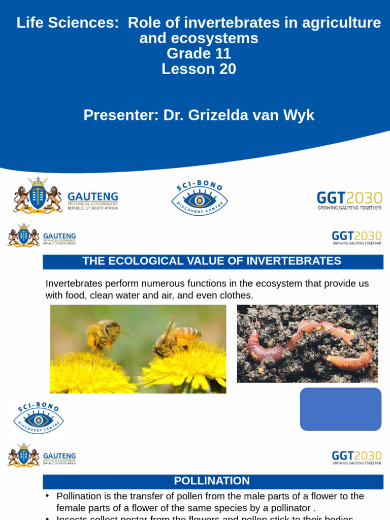 Life Sciences Gr.11 Lesson 20 Role of Invertebrates in Agriculture and ...