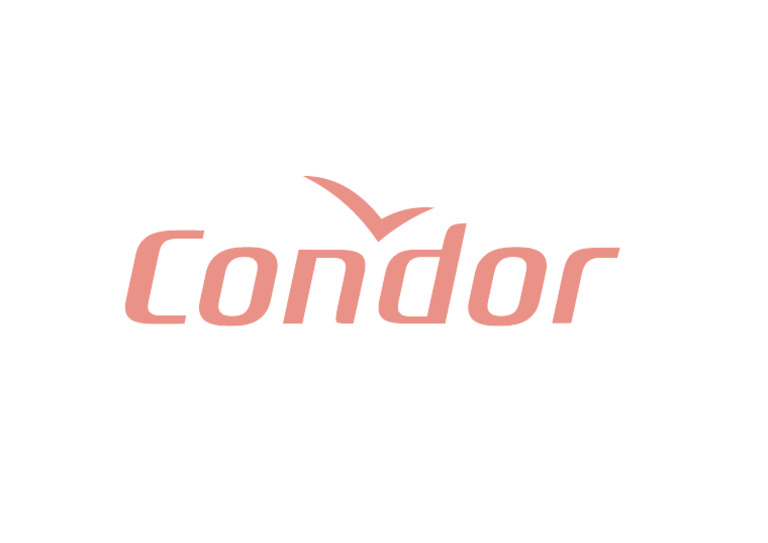 Logo Condor | PDF