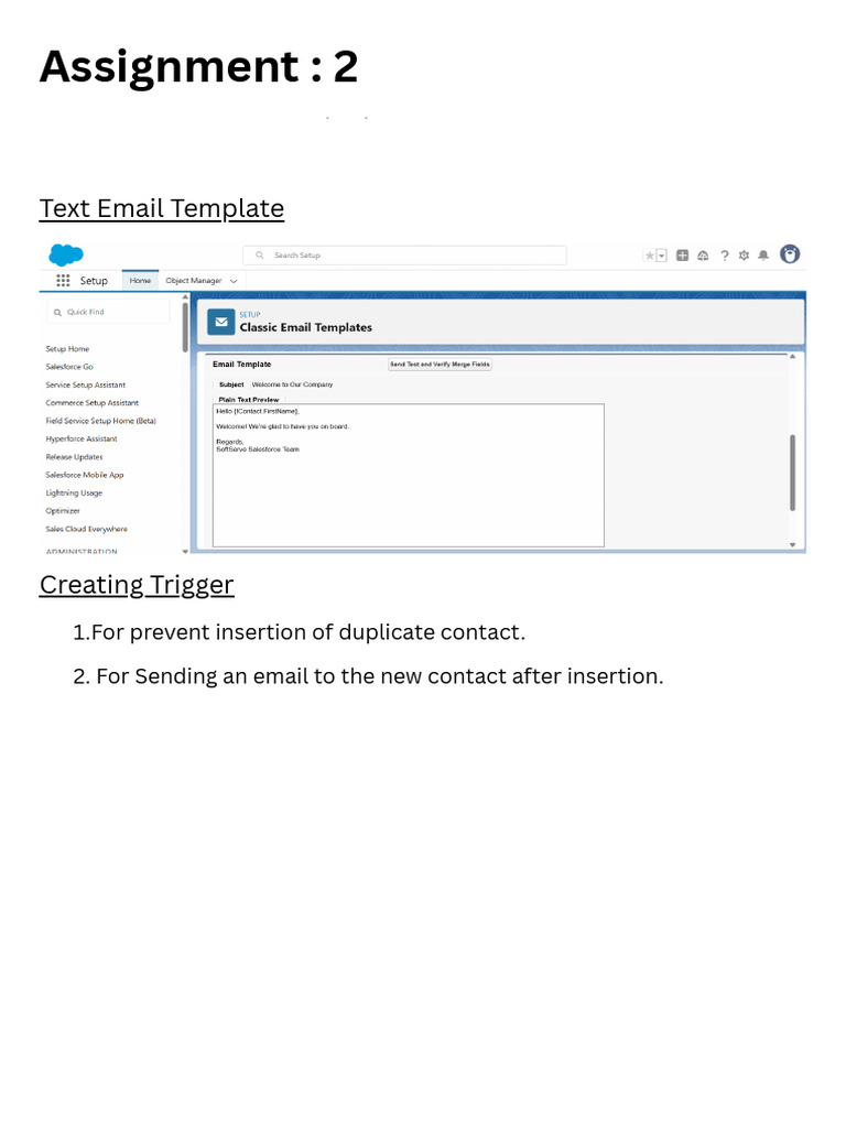 Assignment 2 (Salesforce Architecture) | PDF