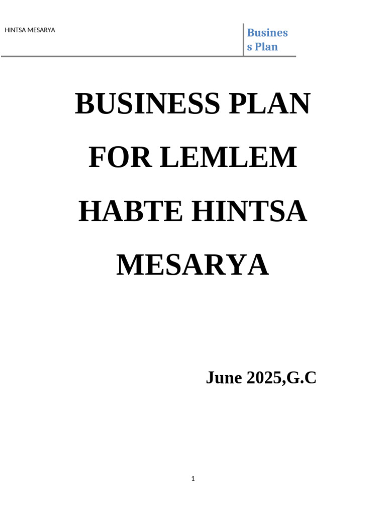 Lemlem Habte HIntsa Mesarya | PDF | Expense | Sales