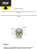 Anatomia da Tuberosidade Massetérica | PDF | Tecido macio | Sistema ...