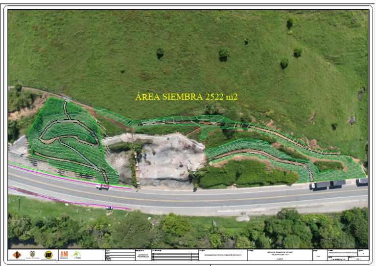 09092024-Area Siembra Talud 0+300 Variante-Vetiver | PDF