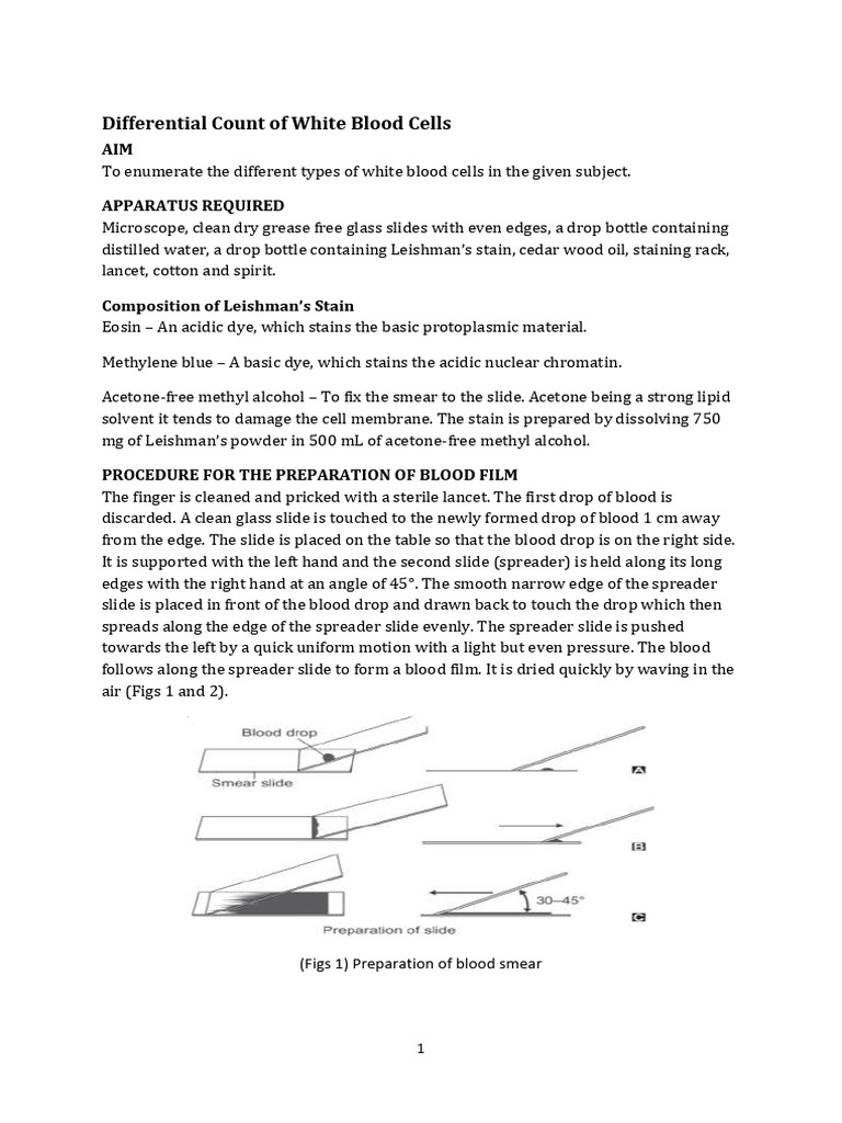 Differential Leukocyte Count Procedure | PDF | White Blood Cell ...