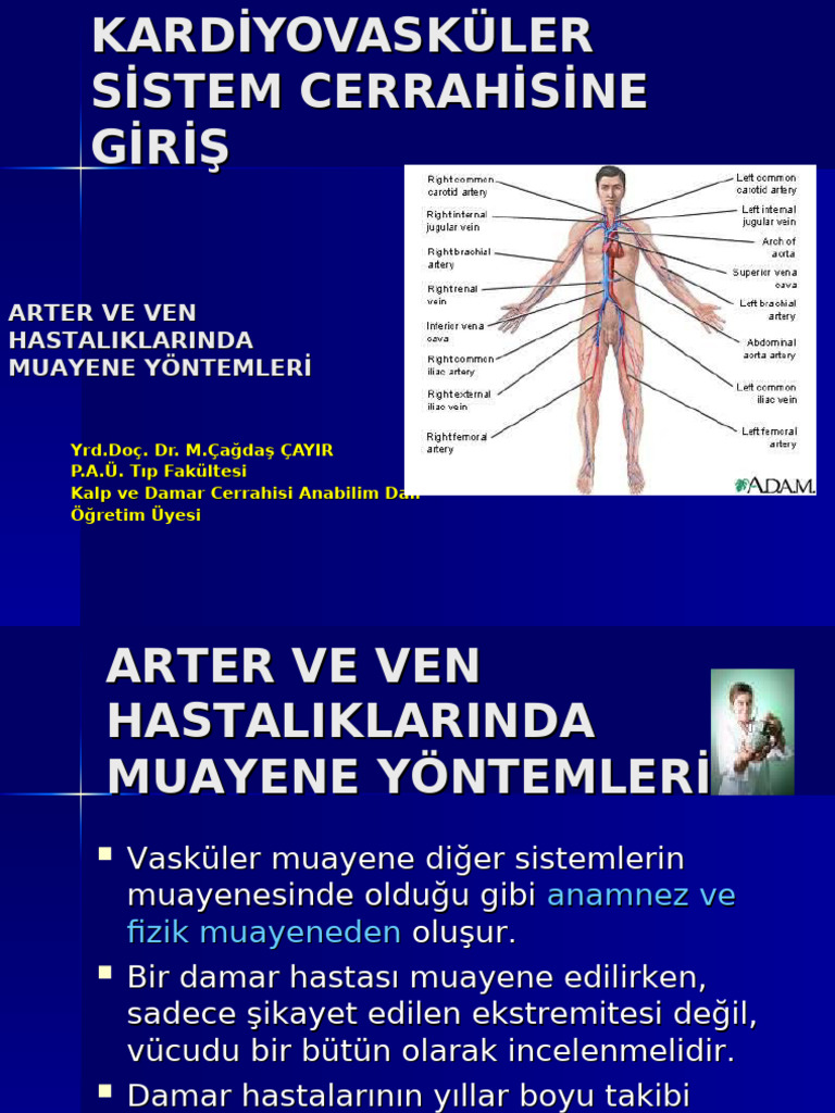 Arter-Ven Muayenesi | PDF