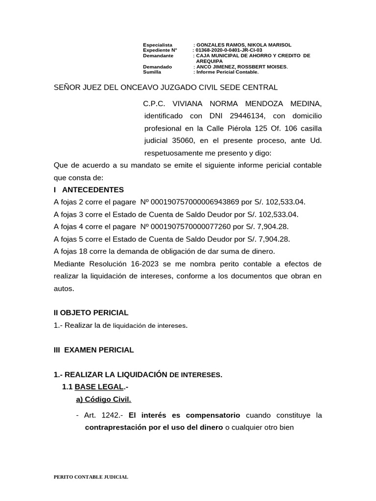 Informe Pericial Contable de Deudas | PDF | Contabilidad | Interés