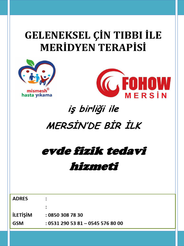 Fohow Meridyen Terapi Cihazı (BEM) Katalok | PDF