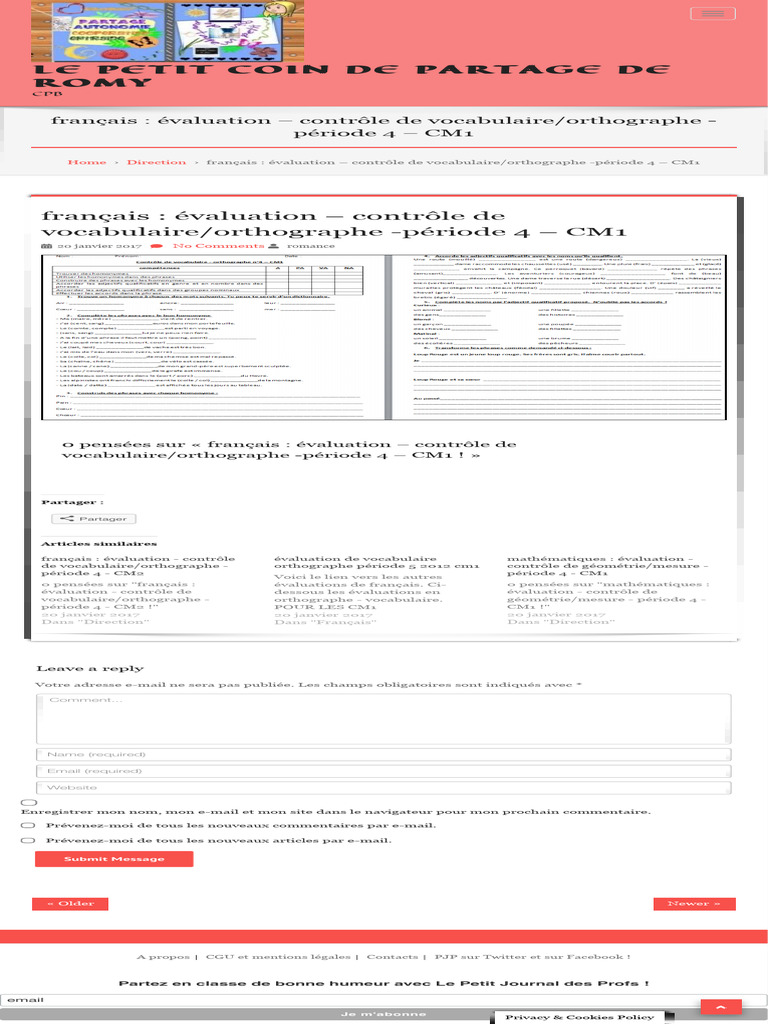 Évaluation Vocabulaire CM1 - Période 4 | PDF | Internet | Internet et Web