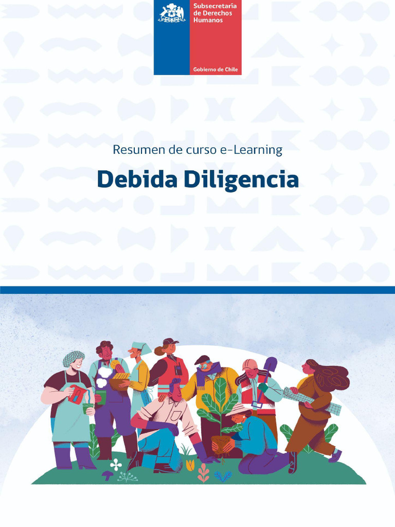 Resumen Debida Diligencia Derechos Humanos | PDF | Derechos humanos