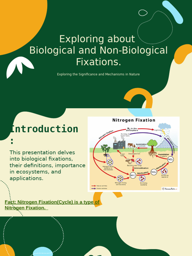 Biological Fixations | PDF | Ecosystem | Fertilizer