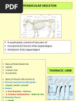 Cat Vs Dog Anatomy Anatomical Differences | PDF | Vertebra | Thorax