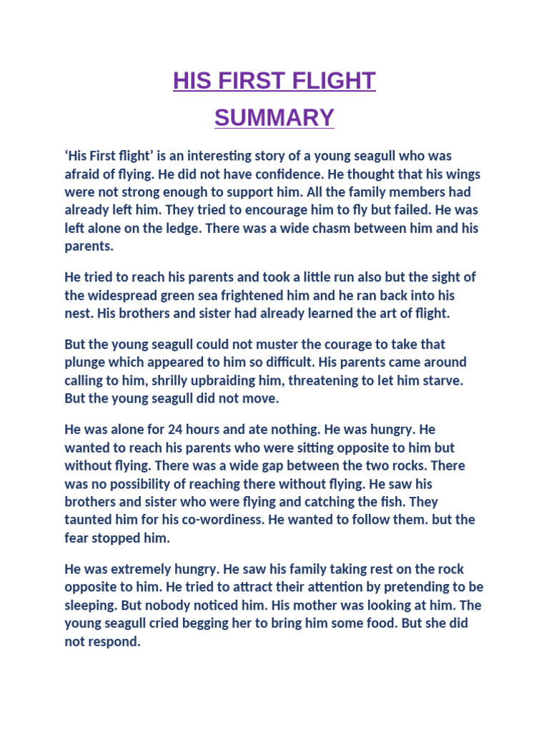 His First Flight Summary | PDF