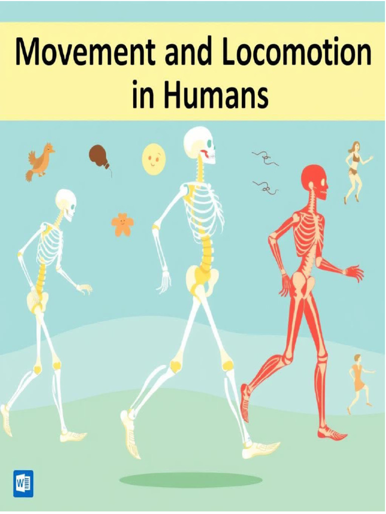 Movement and Locomotion in Animals Microsoft Word New | PDF | Skeleton ...